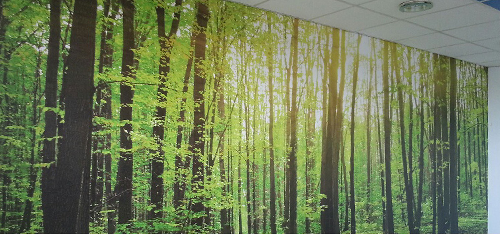 Sign Shop Dublin | Contact Us - Signage and Display - Sign Shop Dublin